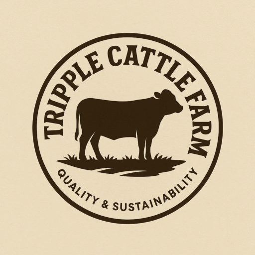 Tripple Cattle Farm | Angus & Mini Highland Cattle for Sale